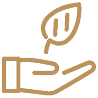 About Us | Epic Stork